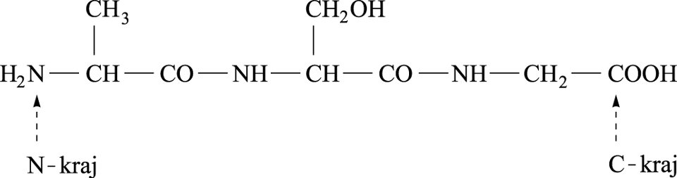 peptidi - Hrvatska enciklopedija
